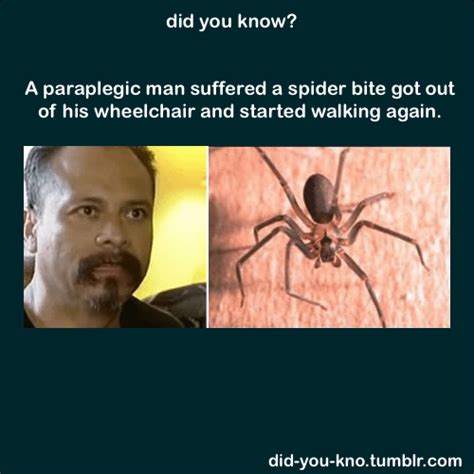 Spider Bite Cures Disabled Man R Wtf