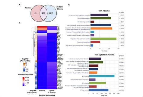 Proteomic Analysis Of Adsorbed Proteins Layers By Lc Msms A Venn