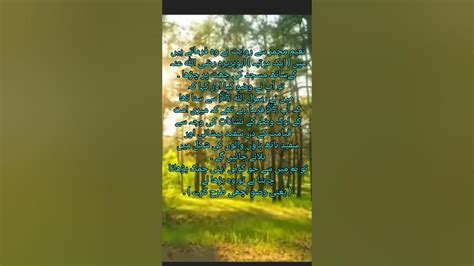Alshah Online Quran Teacher Islaicvideos Nature Islamicpost