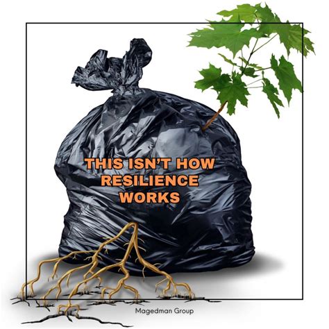 Resilience Selfcare Mentalhealth Wellbeing Personalgrowth Grace