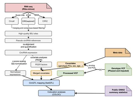 Cscqtl An Integrative Framework For Circular Rna Quantitative Trait Locus Discovery Rna Seq Blog