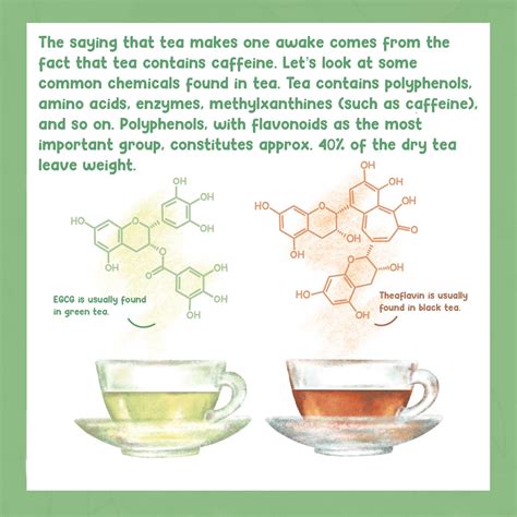 Polyphenols In Tea — Illustrated Rchemistry