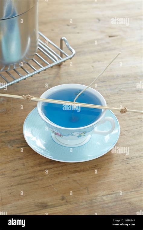 Blue Wax Drying In Cup Wick Holder Keeping Wick Straight And In Place Making Cup Candles Stock