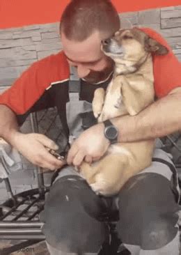 Hes Afraid But Trusts His Owner Imgflip