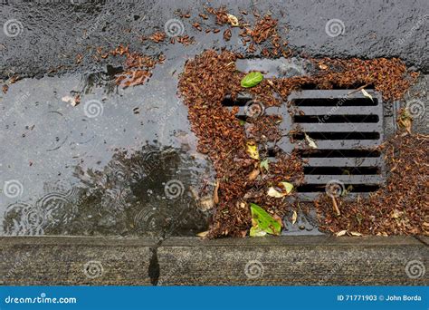 Clogged Storm Drain At Inilimacarablog Blog