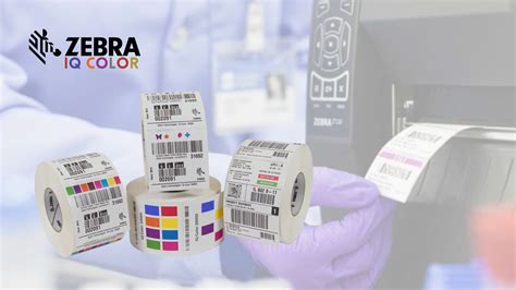 Crește Eficiența și Precizia Imprimării Color Cu Zebra Iq Color Autoid