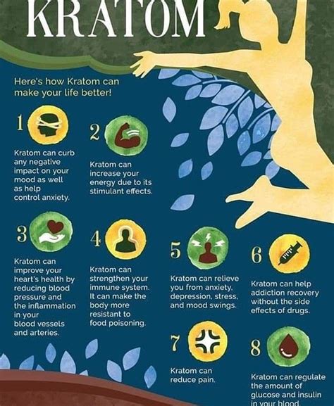 Best 12 Kratom Strains Chart A Guide To Kratom Strains And Their Effects Artofit