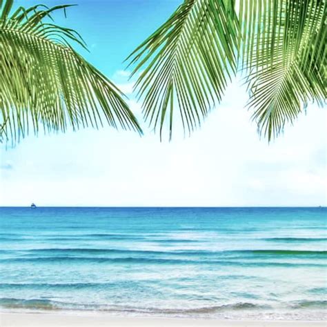 Office Beach Teams Background Etsy