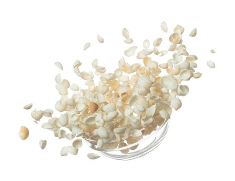 Seashell Fall Splashing In Air Sea Shell Explosion Flying Abstract