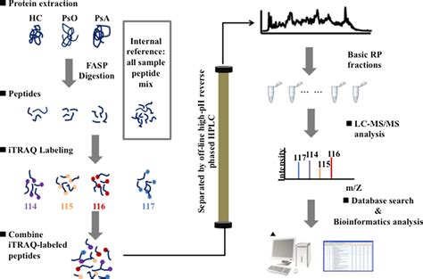 Experimental Workflow For Itraq Labeling Proteome Analysis Equal