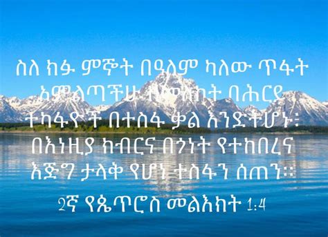 Pin By Tsion Fikadu On Amharic Bible Verses Bible Verses Verses Bible