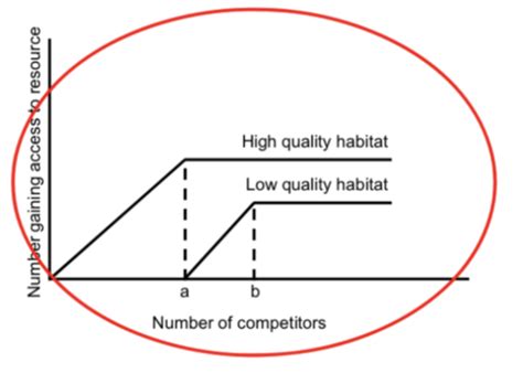 Ornithology Exam 3 Review Lecture 19 Flashcards Quizlet
