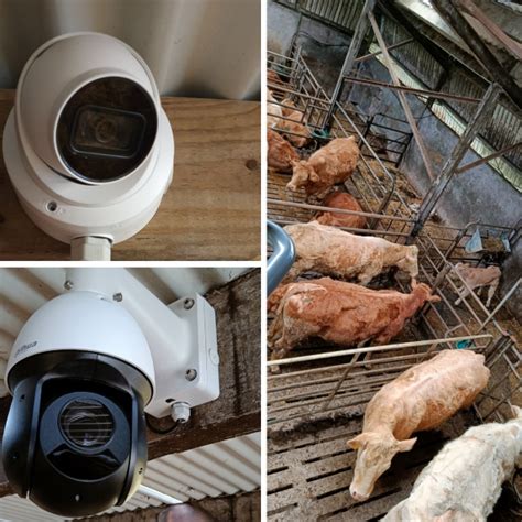 Cctv Systems