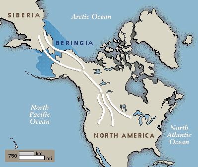 Bering Strait Migration