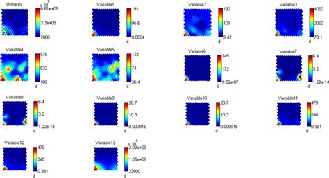 Visualization Topology Of Som Model Output For Dataset 3 With 13 Best Download Scientific