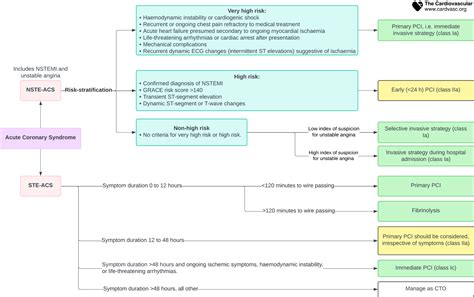 Revascularization Algorithm For Patients With Acute Coronary Syndromes