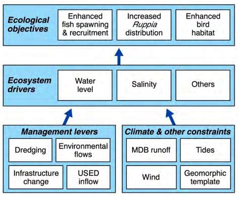 Key Ecosystem Drivers In The Coorong Download Scientific Diagram