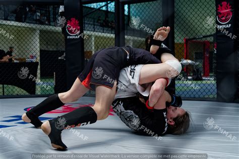 Mma League Fédération De Mma Français