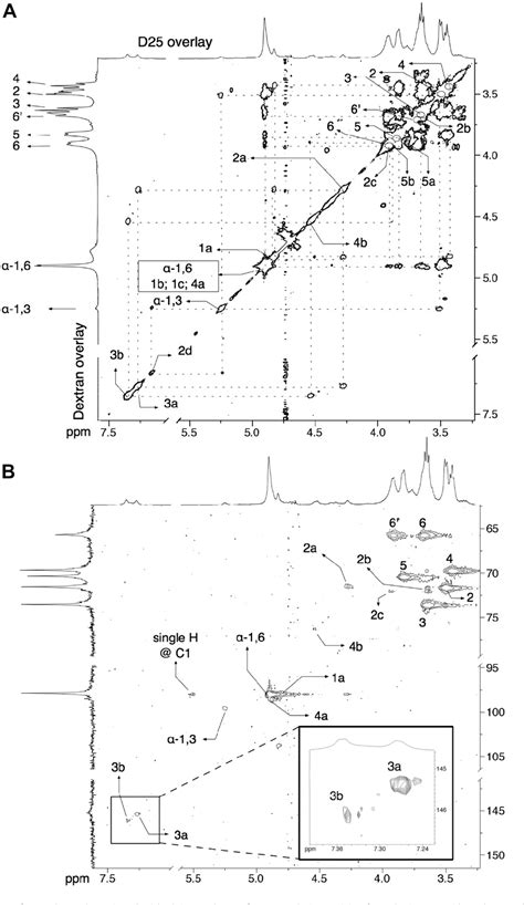 Figure 1 From Insight On The Periodate Oxidation Of Dextran And Its