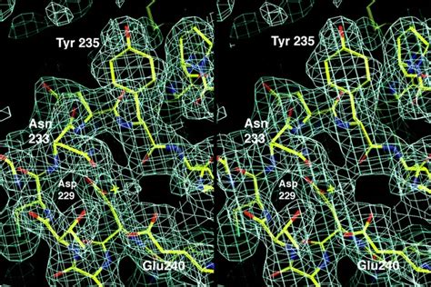 Stereo Diagram Showing The Experimental Electron Density Map In The