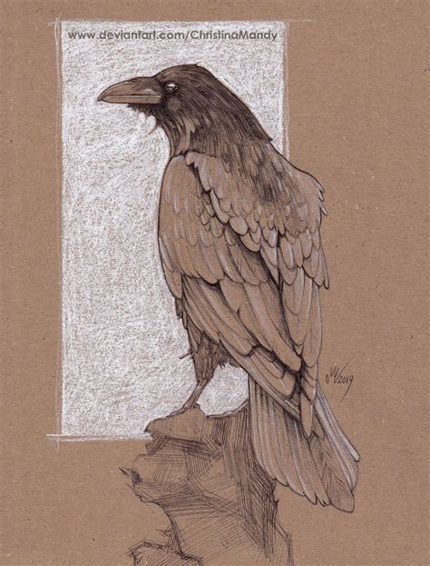 Crow Study By Christinamandy On Deviantart
