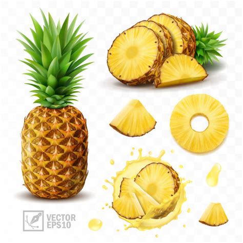 10300 Pineapple Slice Stock Illustrations Royalty Free Vector