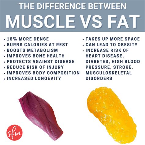 The Difference Between Muscle And Fat Stay Fit Mom