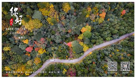 庆元特色日历2022年10月15日寒露凝霜秋色满百山祖国家公园景区 庆元网