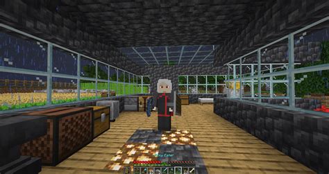 Ariane Yeong In A Survival World In Minecraft Rsignalis