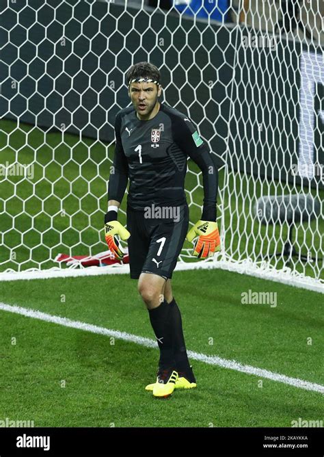 Vladimir Stojkovic Y Bojana