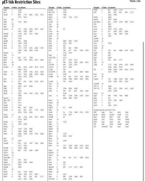 6 Look At The Plasmid Map For Pet16 B Posted On
