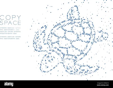 Sea Turtle Shell Clip Art