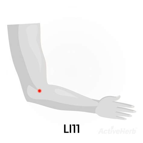 The Best Acupressure Points For Occasional Allergy Relief Activeherb Blog