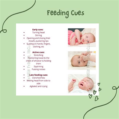 Feeding Cues