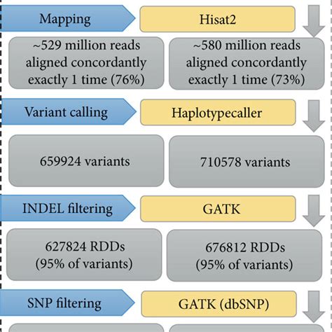 Evolution Of The Adar Sequence Preference Based On The Sequence Download Scientific Diagram