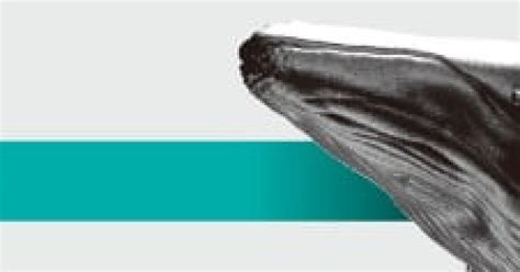 마켓칼럼 정책이 지배하는 시장