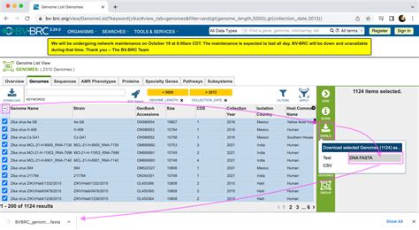 Feat Bv Brc Support · Issue 128 · Nextstrainfauna · Github