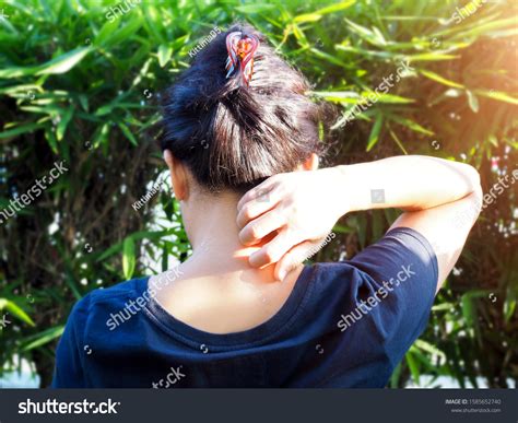 Asian Women Use Hands Scratch On 스톡 사진 1585652740 Shutterstock