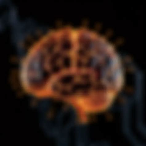 Understanding Brain Mapping Diagrams In Neuroscience