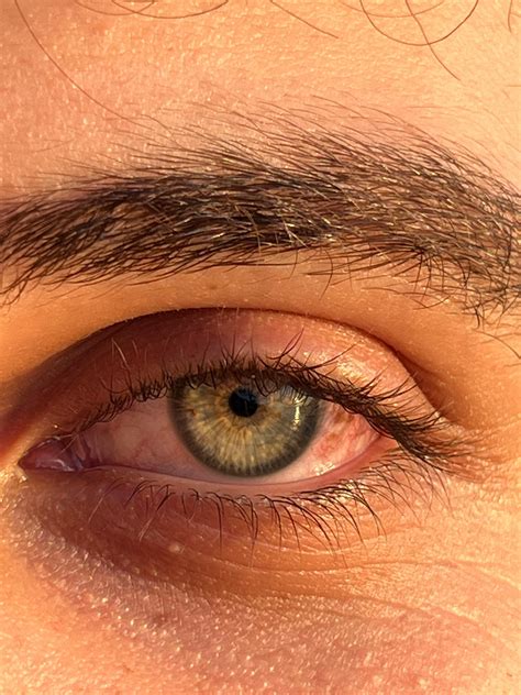 Eye Iris Texture Photos Download The Best Free Eye Iris Texture Stock