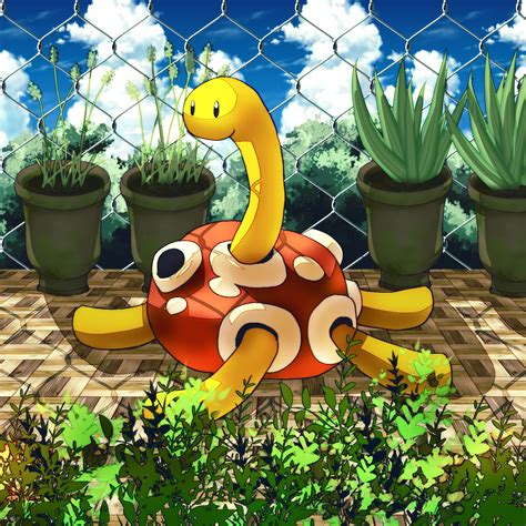 Shuckle Pokemon Drawn By Hidora Danbooru