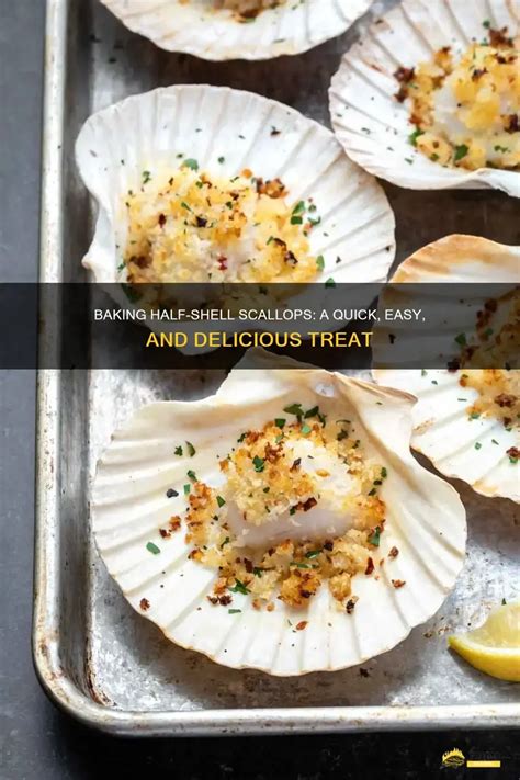 Baking Half Shell Scallops A Quick Easy And Delicious Treat Shungrill