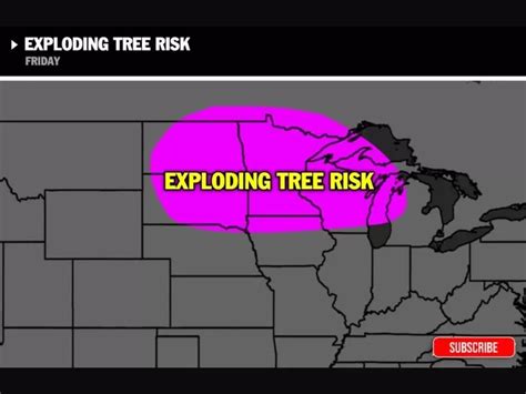 Extreme Arctic Cold Could Trigger “exploding Tree” Risk Across North