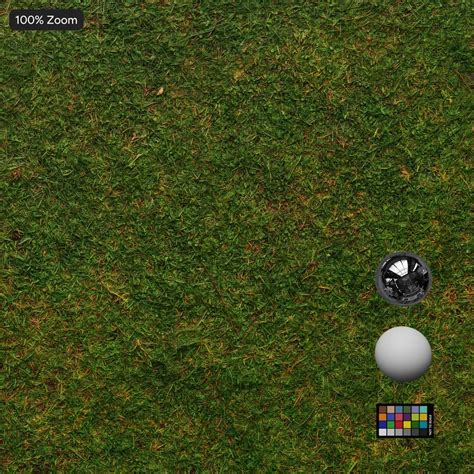 Lush Grass Texture Poliigon