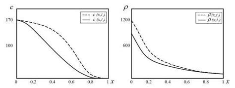A Impurity Concentration Distribution At The Filter Output During The