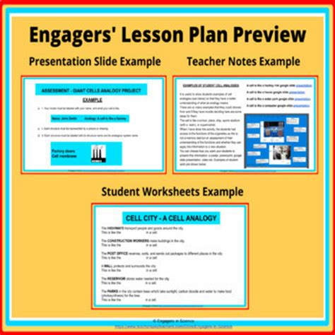 Cell City Analogy Drawing