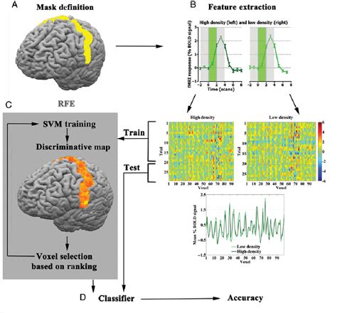 figure 1 from the effect of task instruction on haptic texture processing the neural