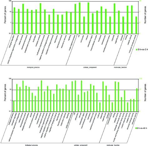 Histogram Of Go Classification Of Differential Mirna Target Genes