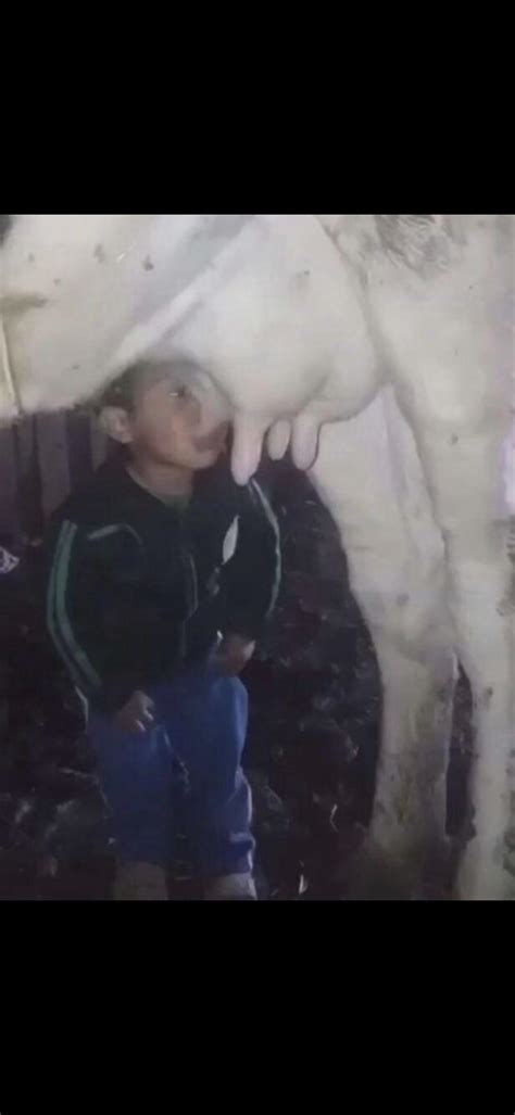 Leche R Memesesp