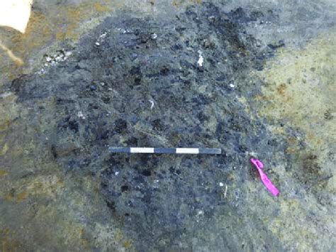 The Feature 57 Privy Pit Before Excavation Download Scientific Diagram